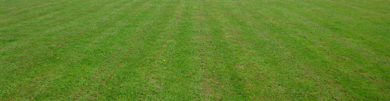 Motcombe Grange Header 013,jpg - Motcombe Grange